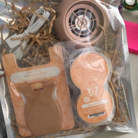 Scentsy | Other | Scentsy Car Kits | Poshmark
